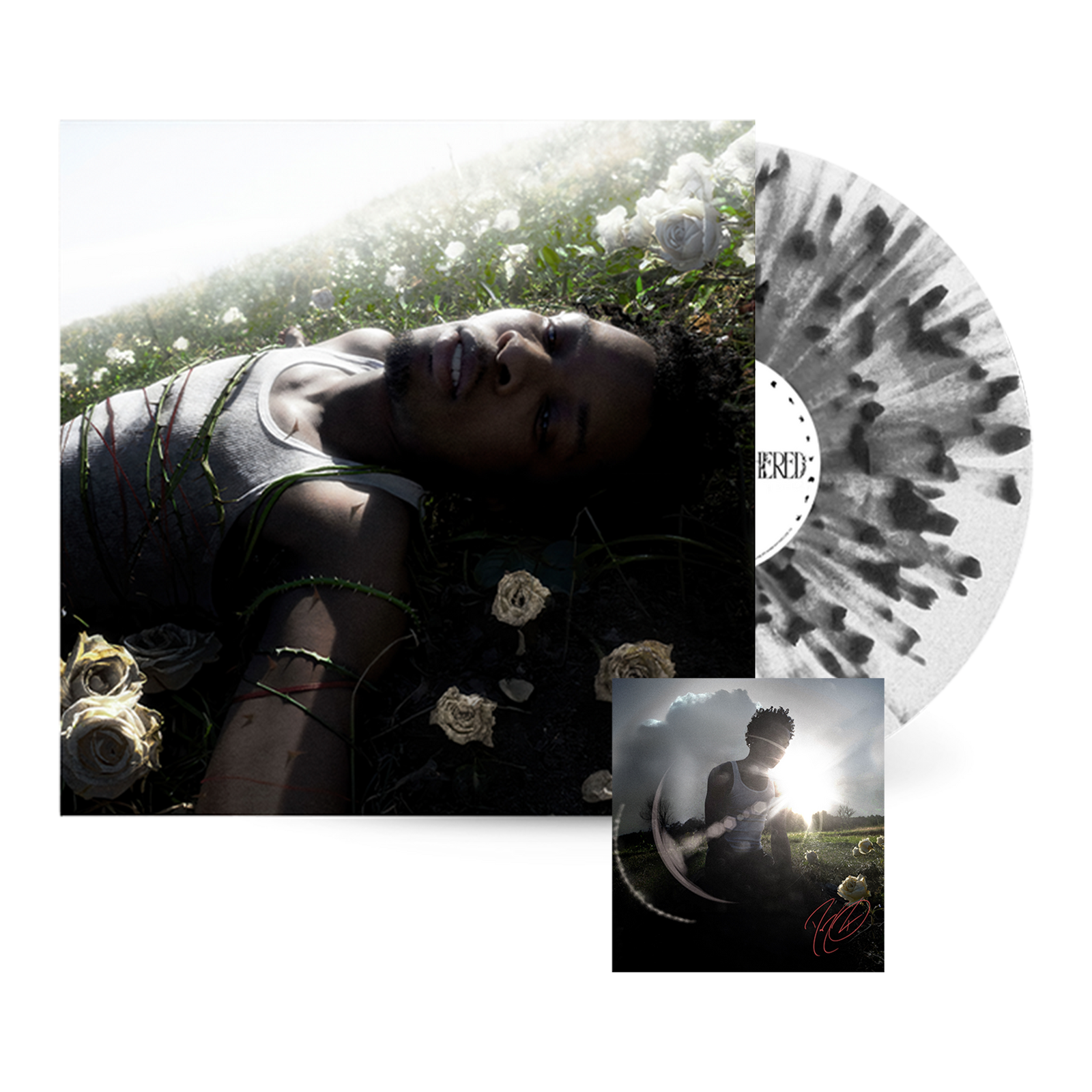 WITHERED Store Exclusive Splatter Vinyl + Signed Art Card - D4vd UK